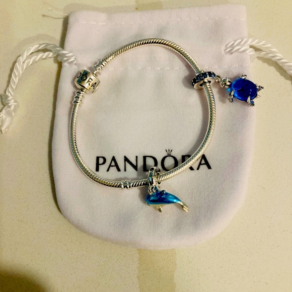 Pandora | Jewelry | Beautiful Bracelet By Pandora With 2 Charms Turtle ...